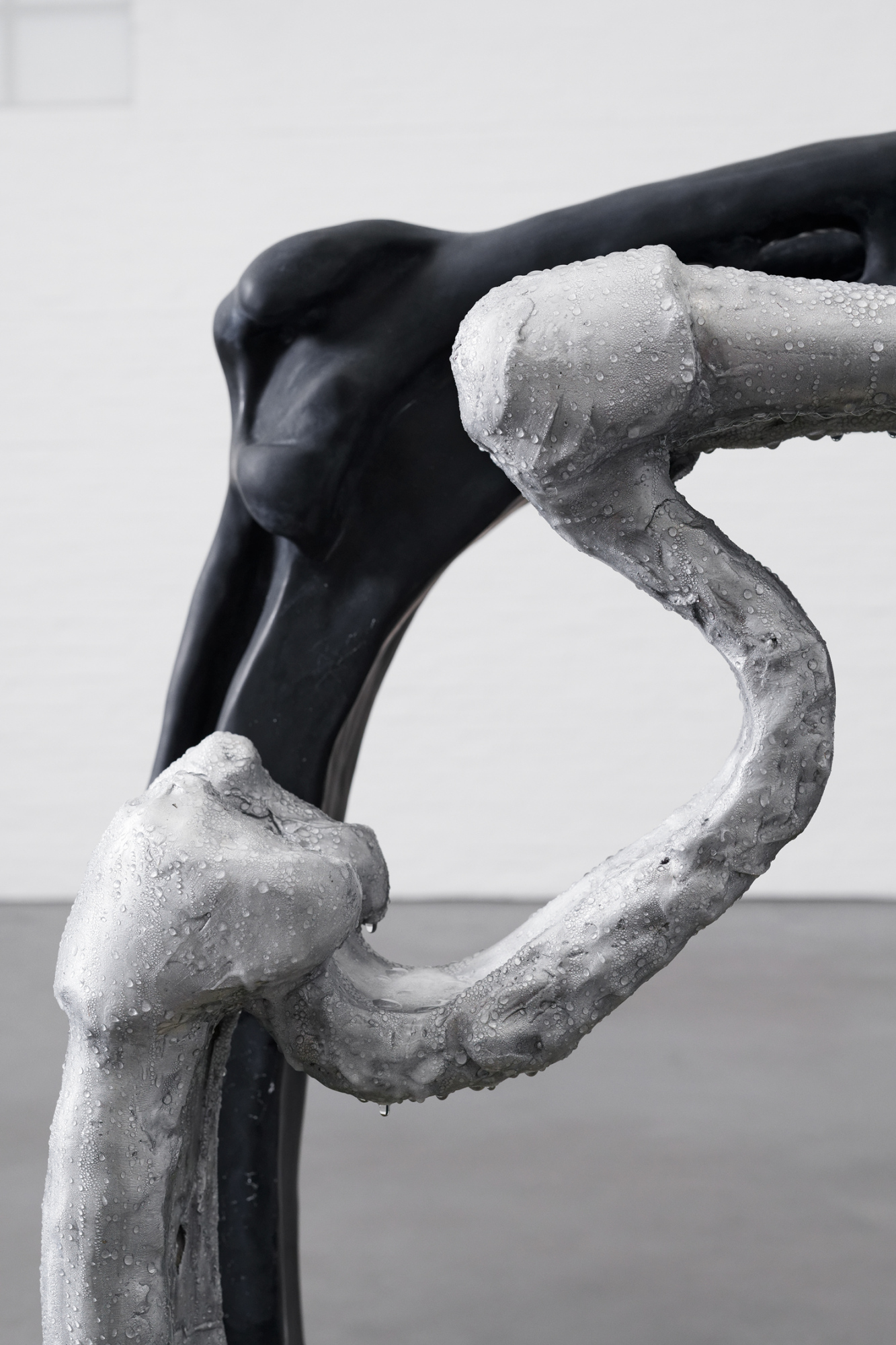 Isabelle Andriessen | Berthold Pott